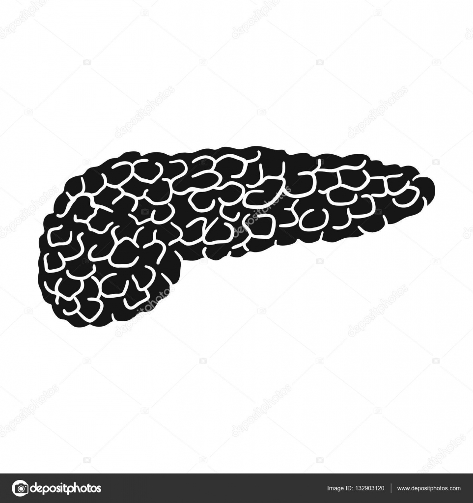 Human pancreas icon in black style isolated on white background. Human ...