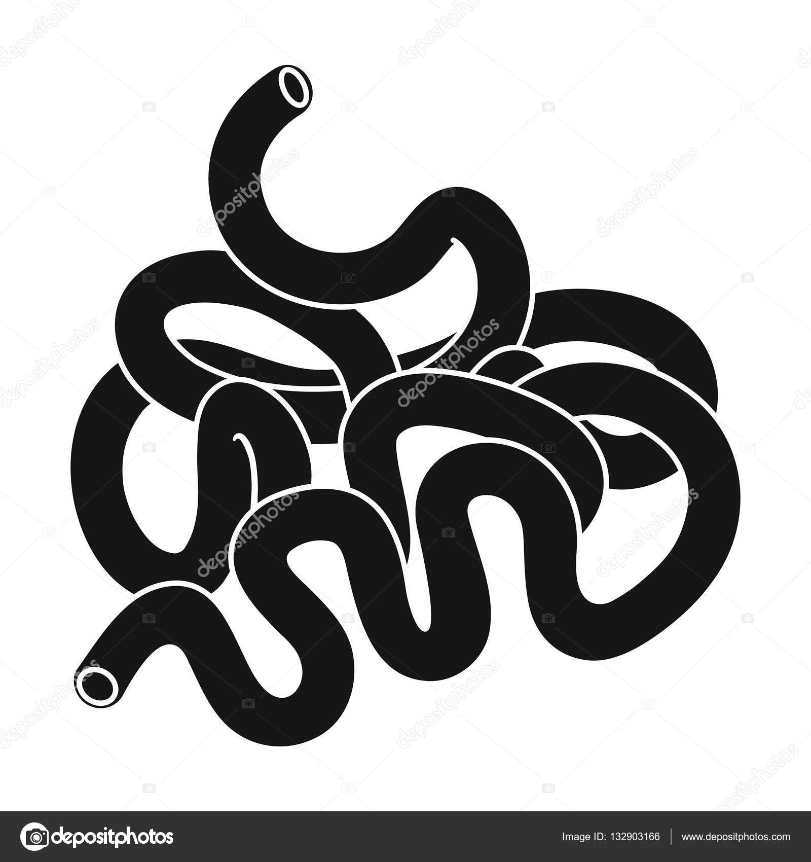 Human small intestine icon in black style isolated on white background ...