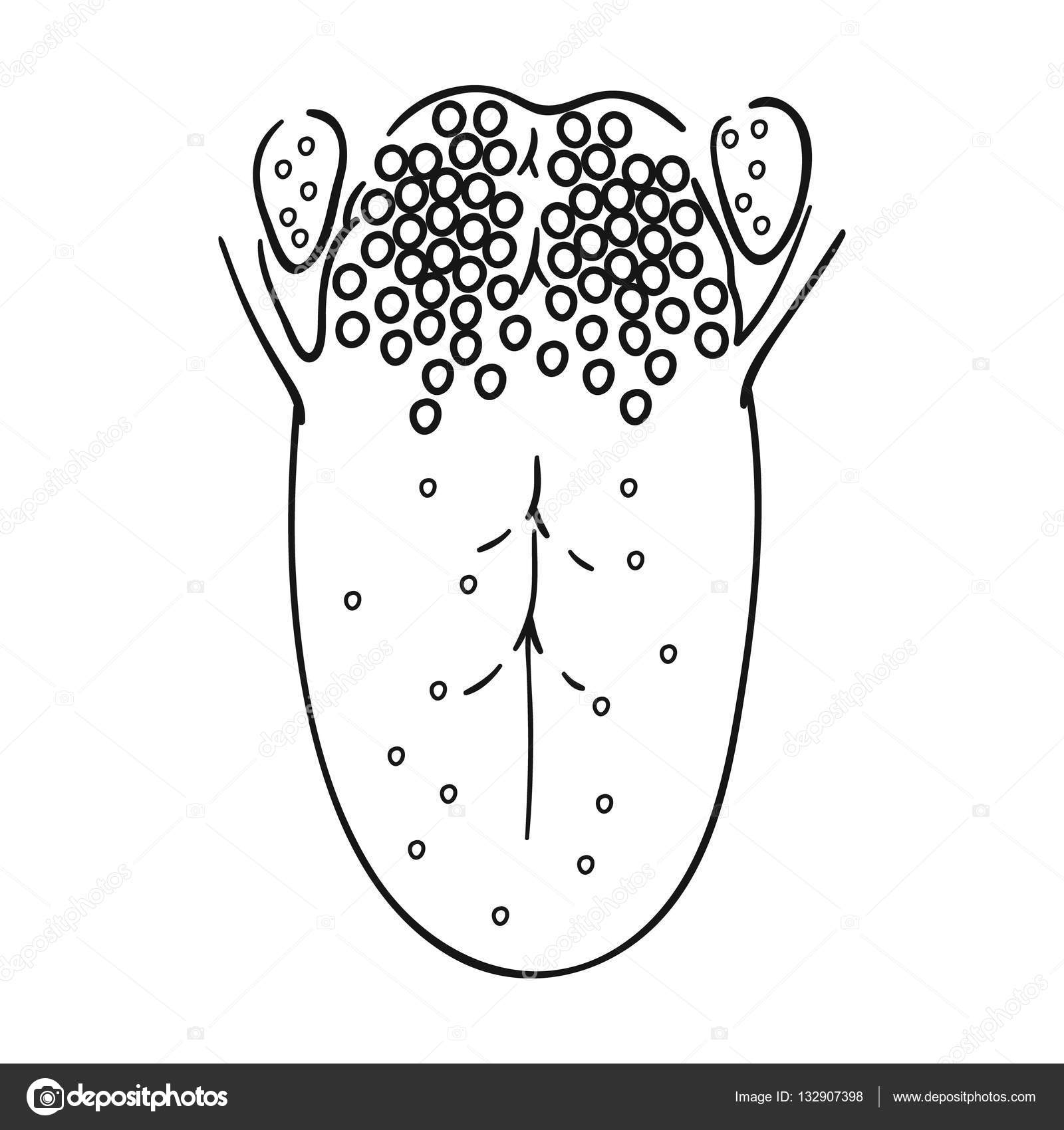 Human tongue icon in outline style isolated on white background. Human ...