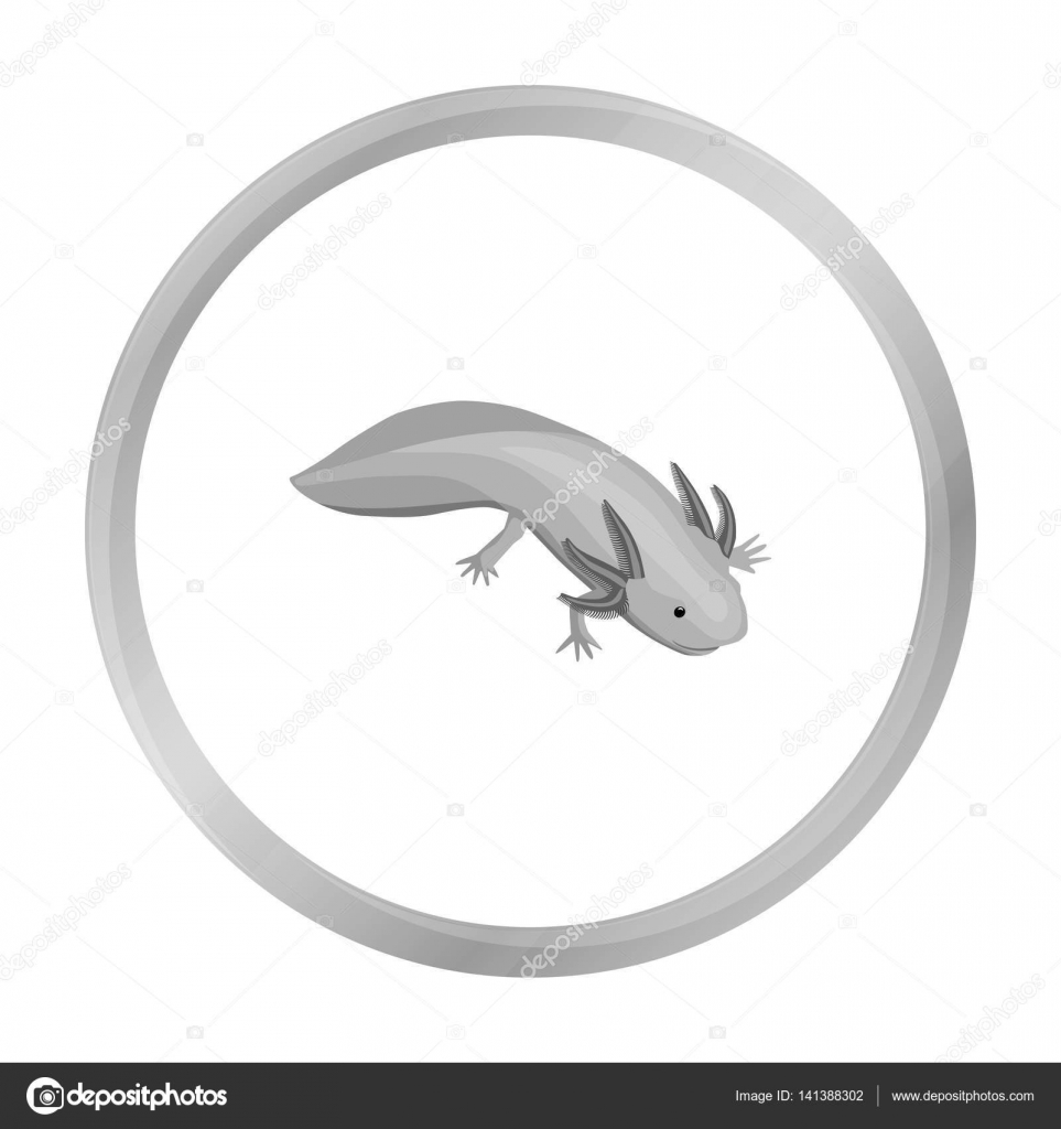 Mexican axolotl icon in monochrome style isolated on white background ...
