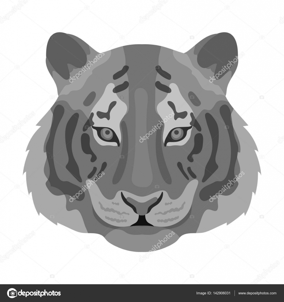 Tiger icon in monochrome style isolated on white background. Realistic ...