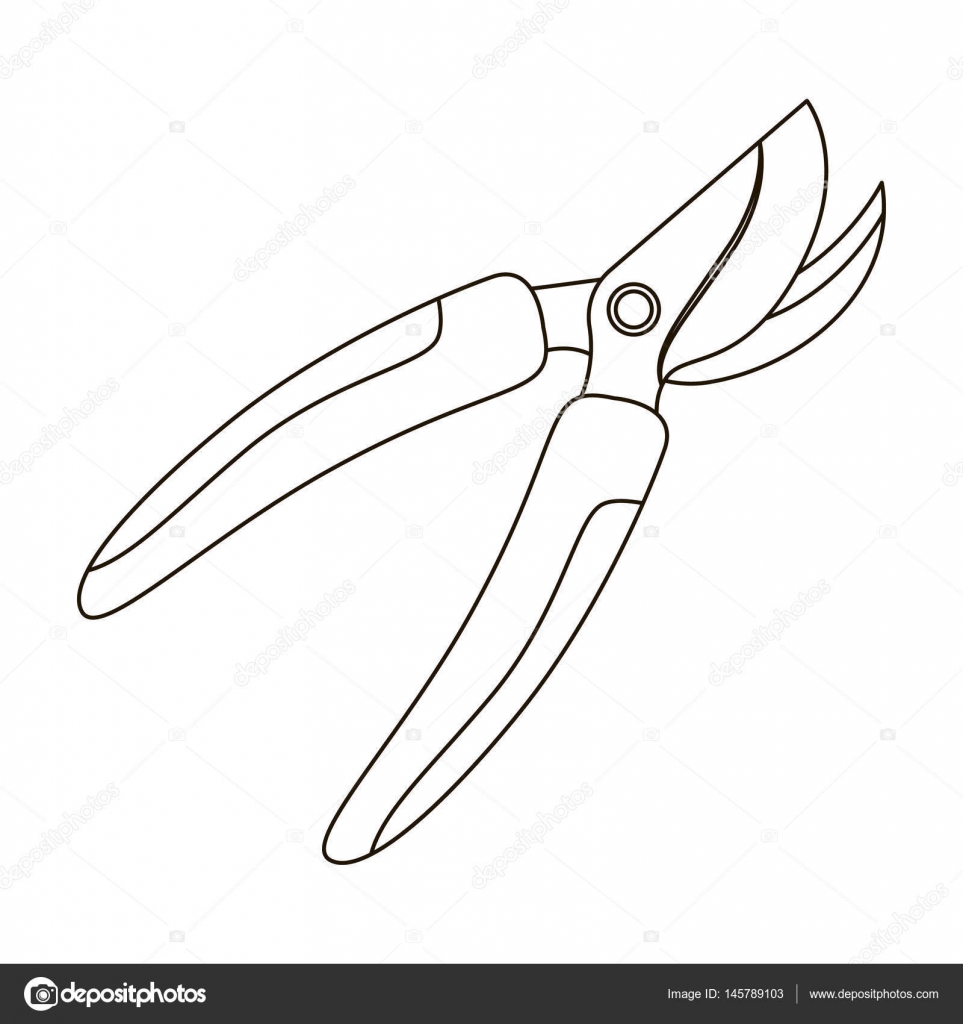 Pruning Shears Drawing
