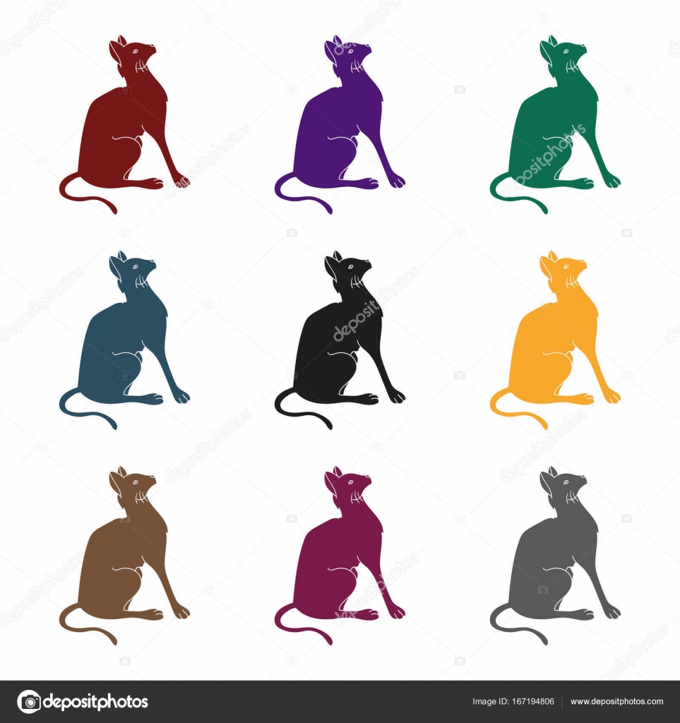 Siamese icon in black style isolated on white background. Cat breeds ...