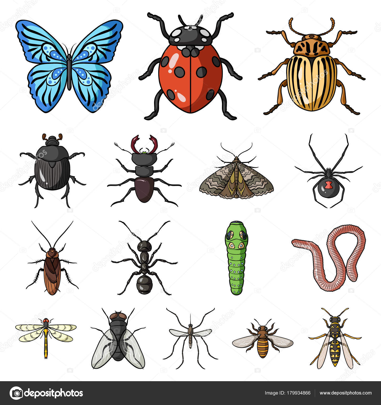 Diferentes tipos de insectos iconos de dibujos animados en la colección ...