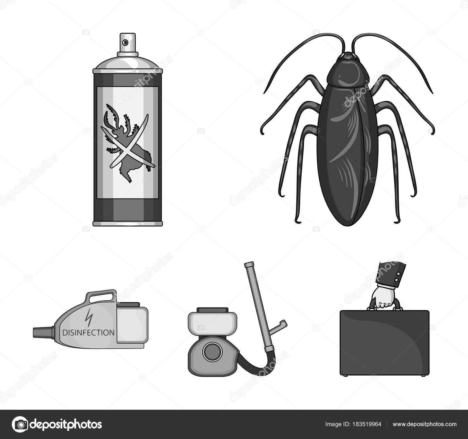 Cockroach and equipment for disinfection monochrome icons in set ...
