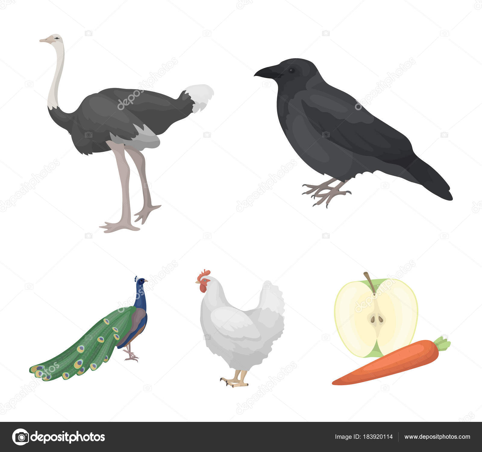 Crow, ostrich, chicken, peacock. Birds set collection icons in cartoon ...