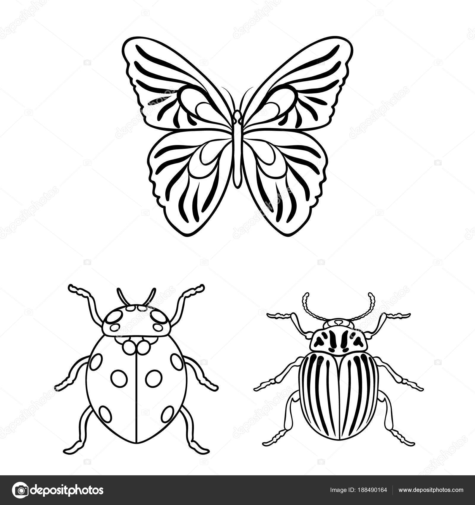 Different kinds of insects outline icons in set collection for design ...