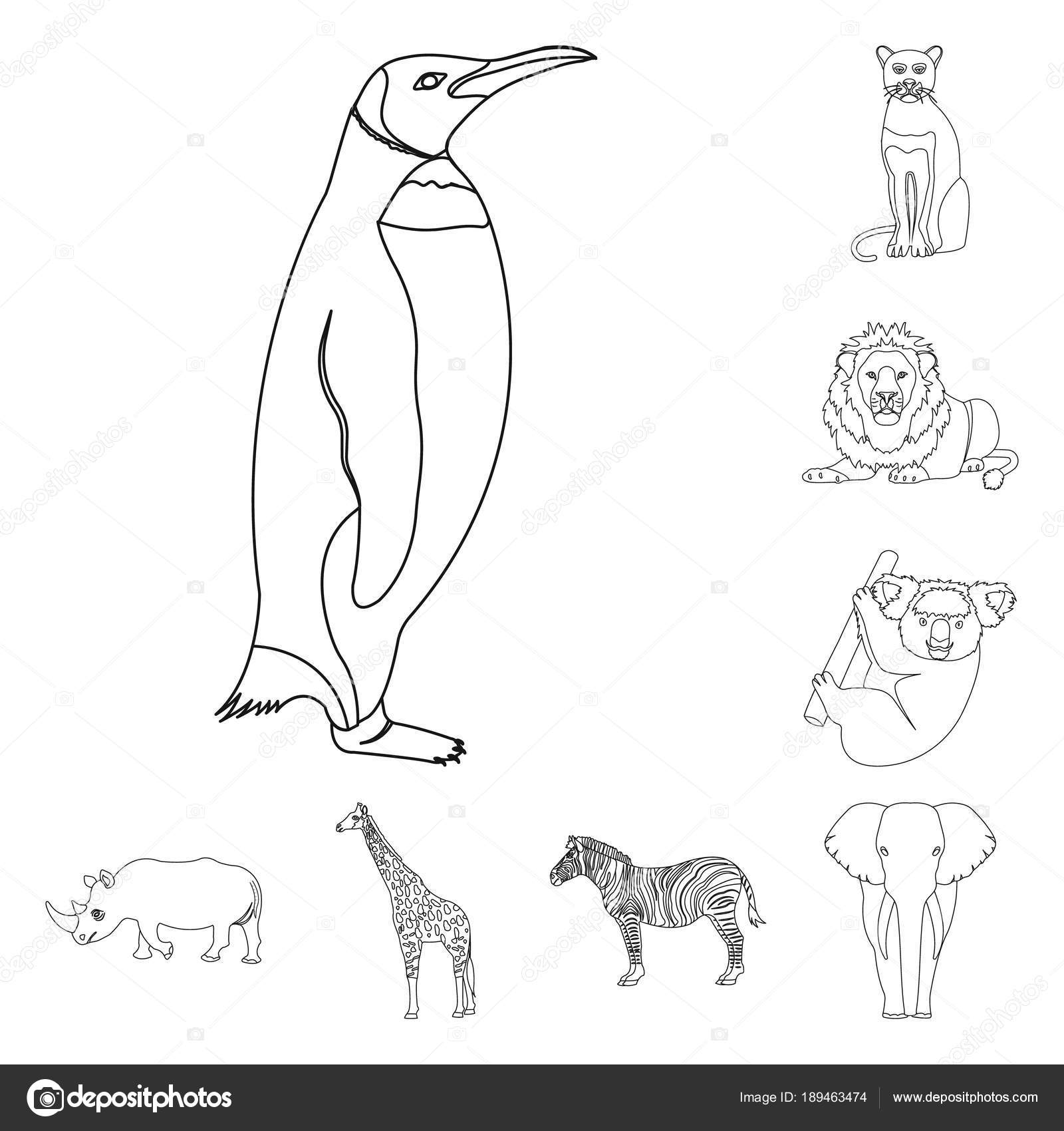 Different animals outline icons in set collection for design. Bird ...