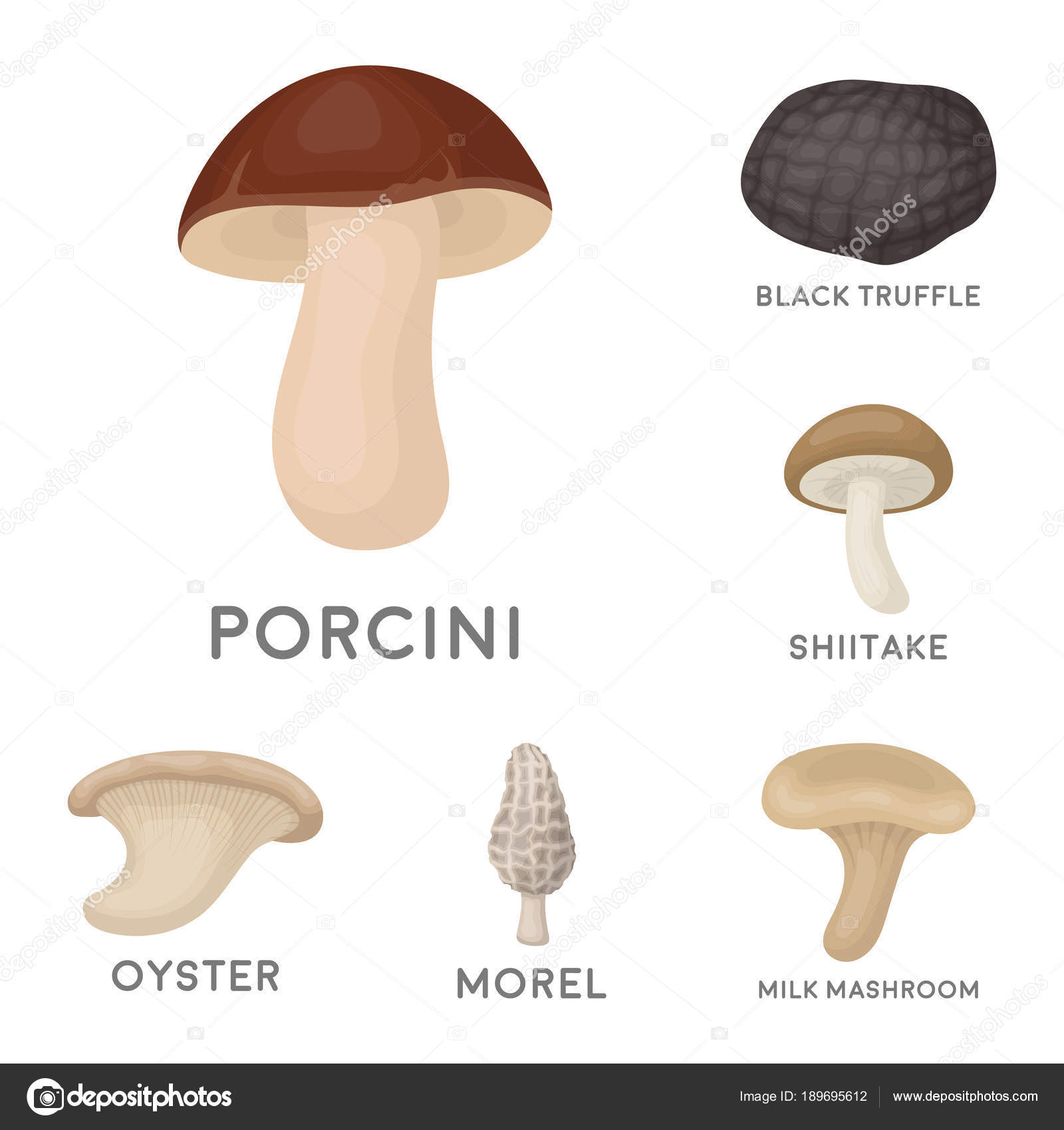 Iconos de dibujos animados de setas venenosas y comestibles en la colección de conjuntos para el ...