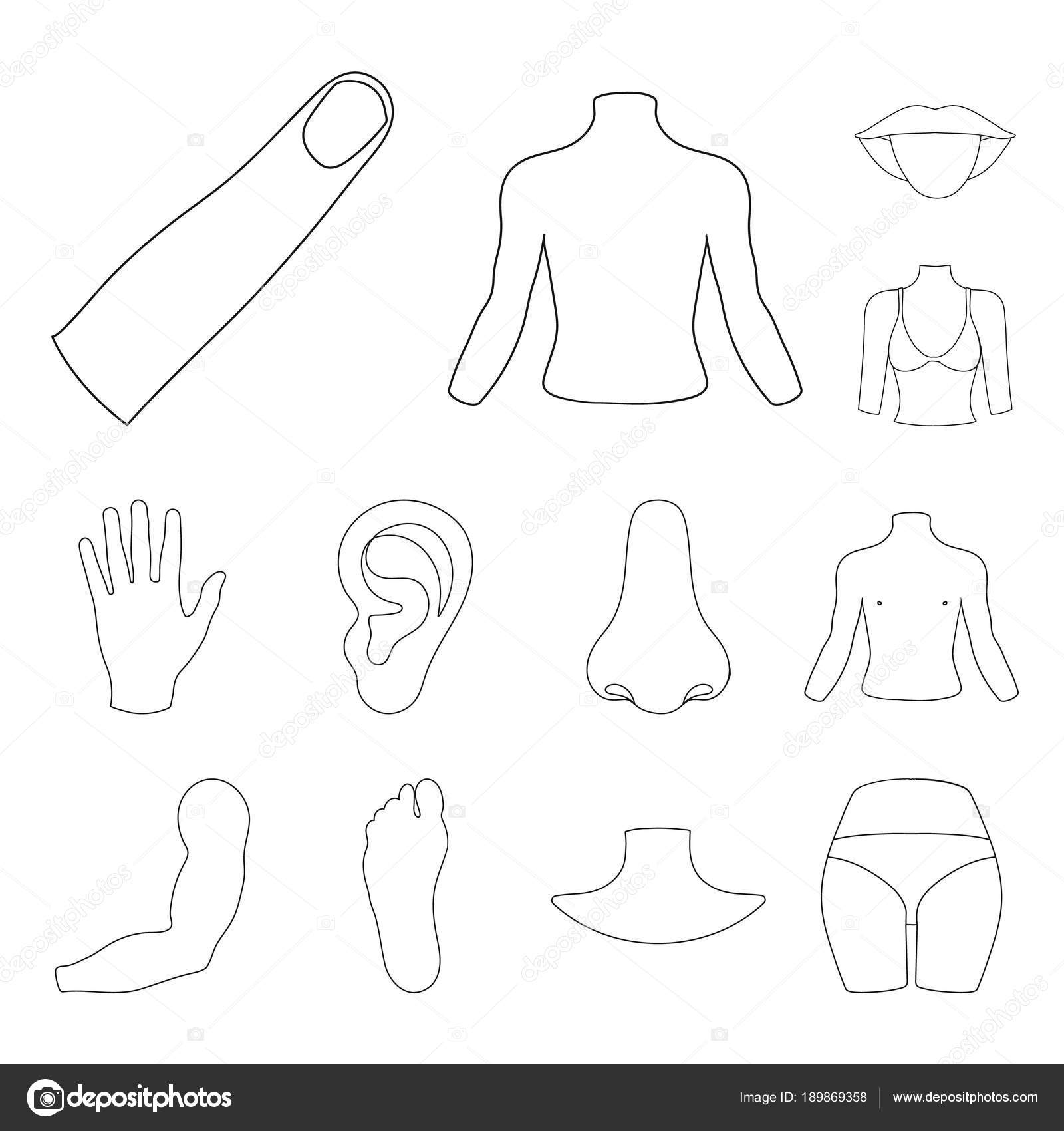 Part of the body, limb outline icons in set collection for design ...