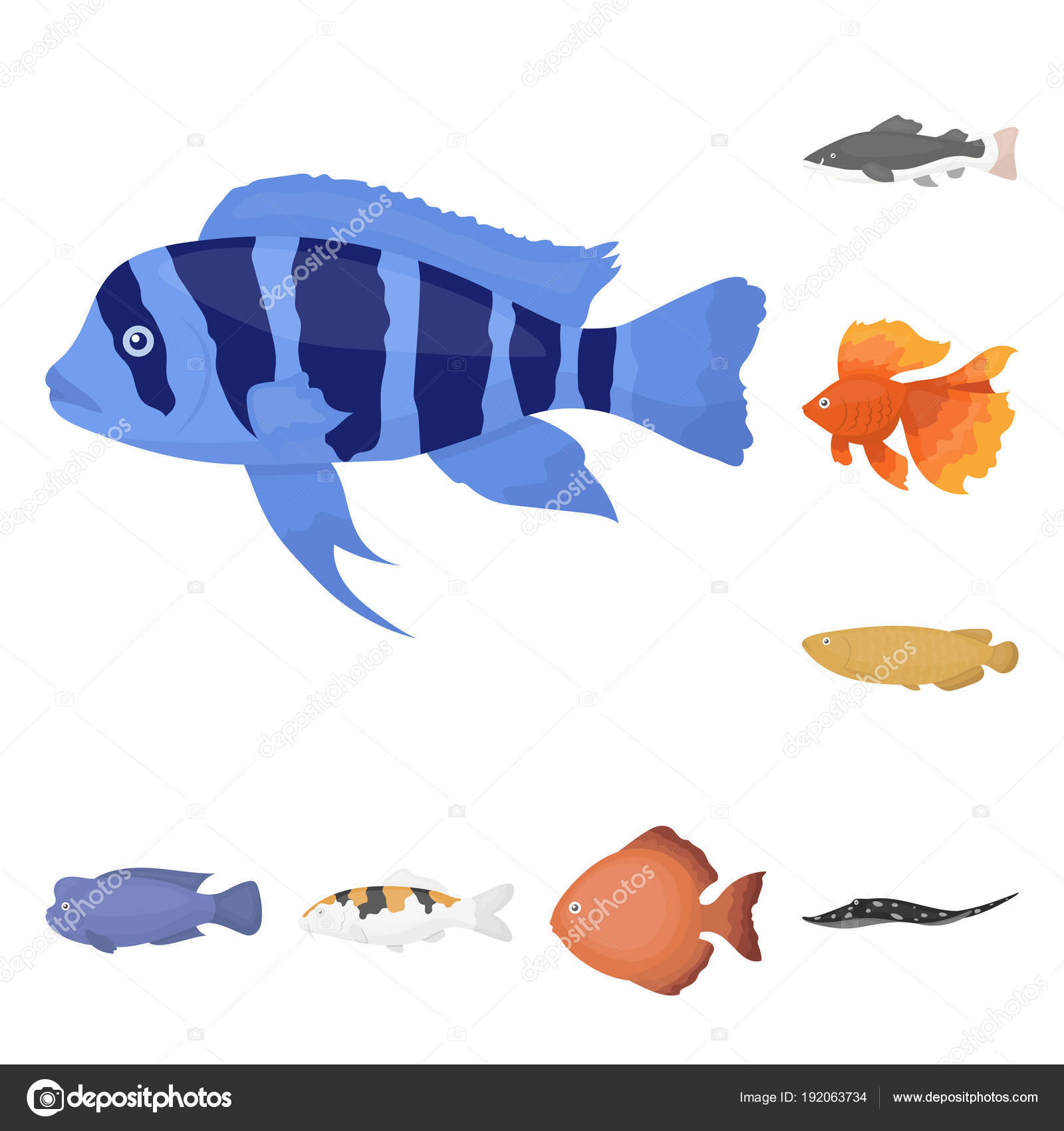 Different types of fish cartoon icons in set collection for design ...