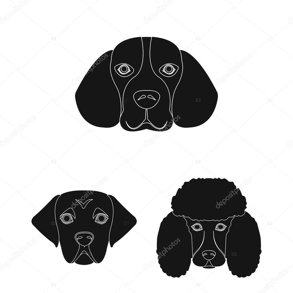 Perro razas negro iconos en conjunto colección para design.Muzzle de un ...