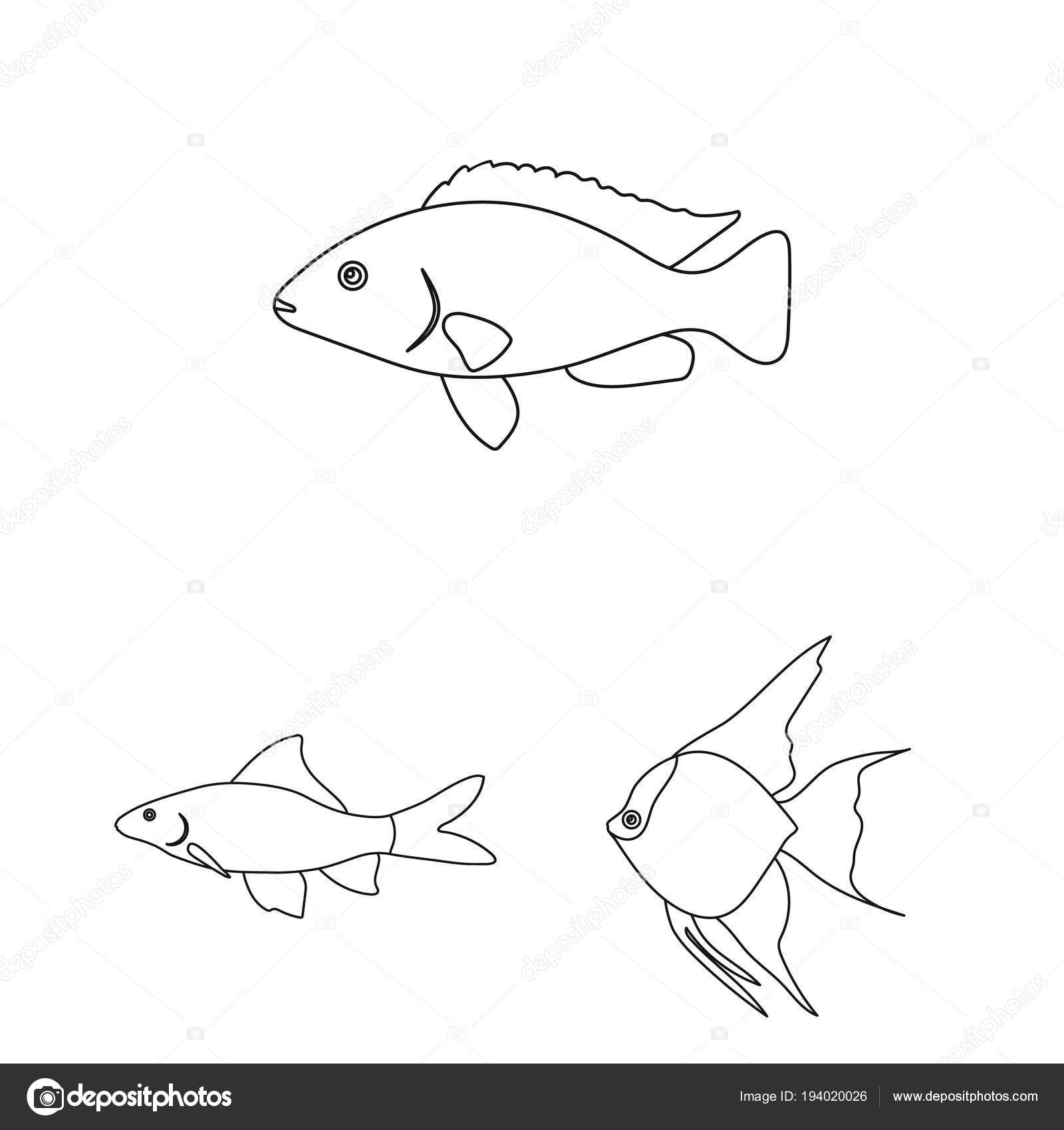 Different types of fish outline icons in set collection for design ...