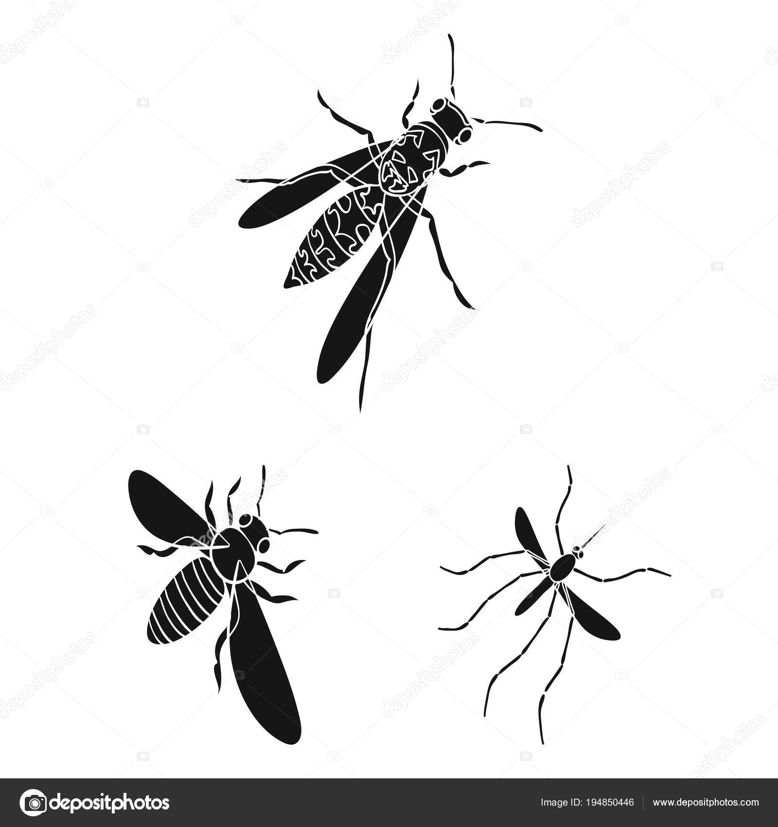 Diferentes tipos de insectos iconos negros en la colección de conjuntos ...