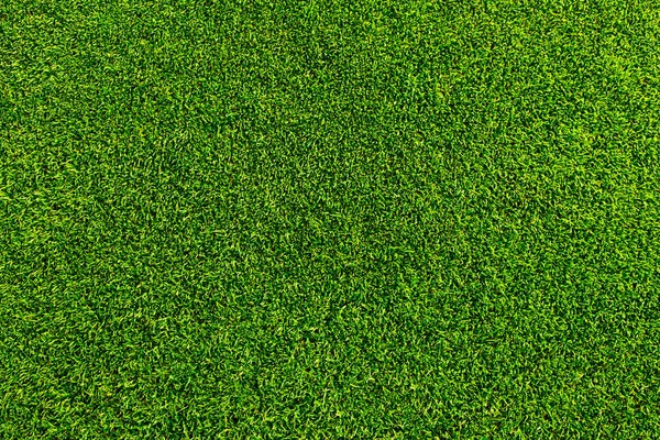 Seamless Artificial Grass Field Texture ⬇ Stock Photo, Image by ... Seamless Artificial Grass Field Texture ⬇ Stock Photo, Image by ...
