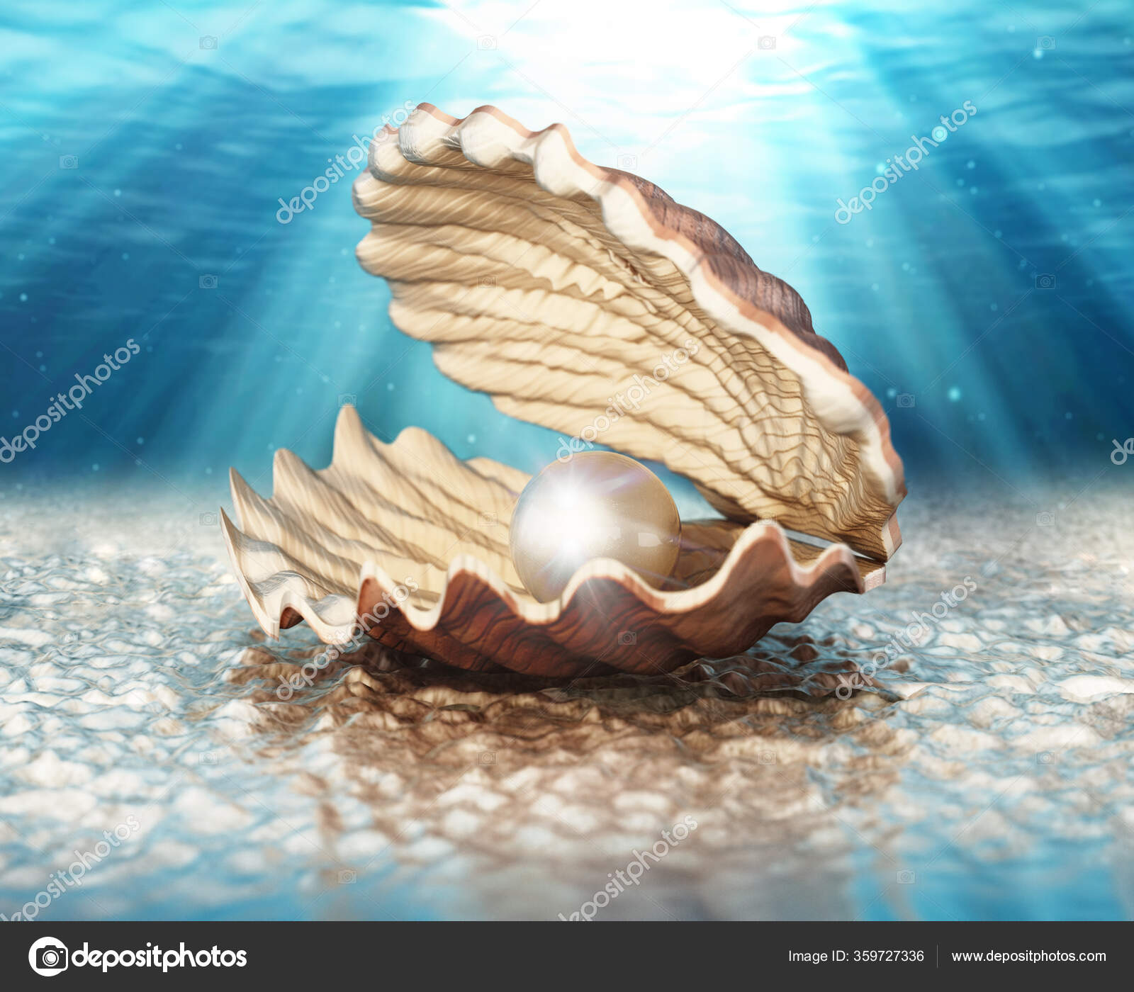 Beautiful Oyster Pearl