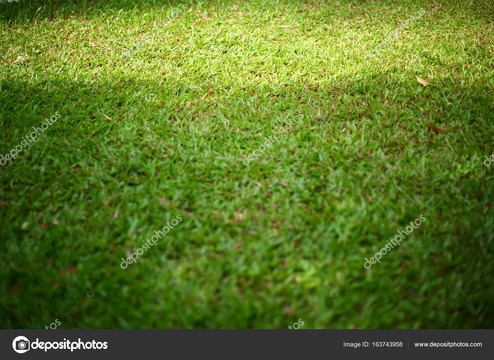 Césped verde césped: fotografía de stock © Sutichak #163743958 ...