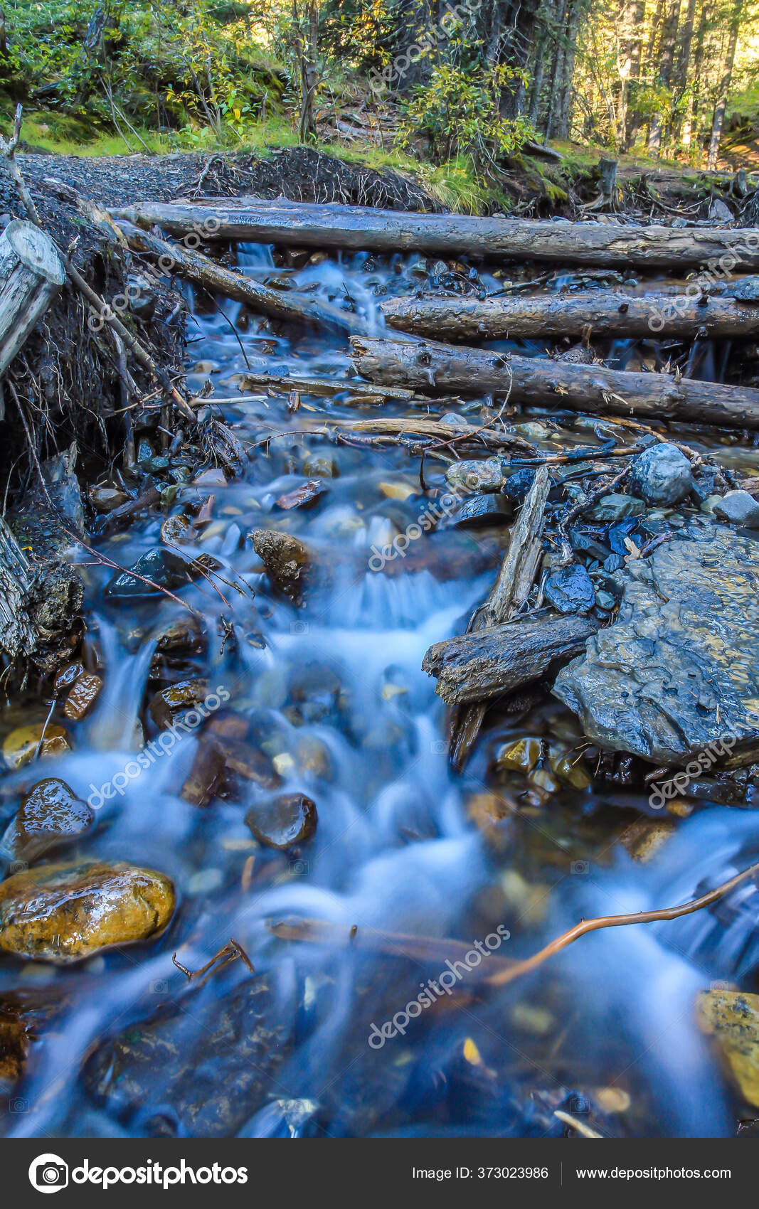 Run Sheep River Sheep River Provincial Park Alberta Canada ⬇ Stock ...