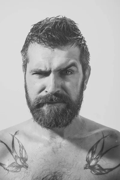 Tangled beard. Bearded man with hair brush Stock Photo by ©Tverdohlib ...