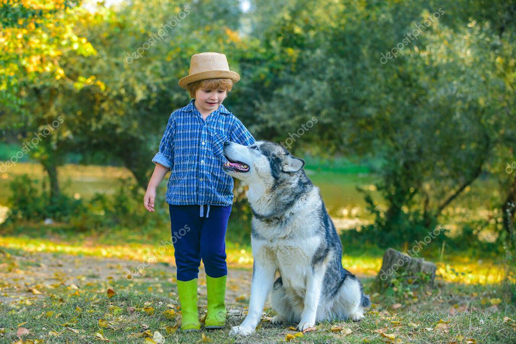 Chico jugando con su perro en el parque. Concepto de niños activos ...