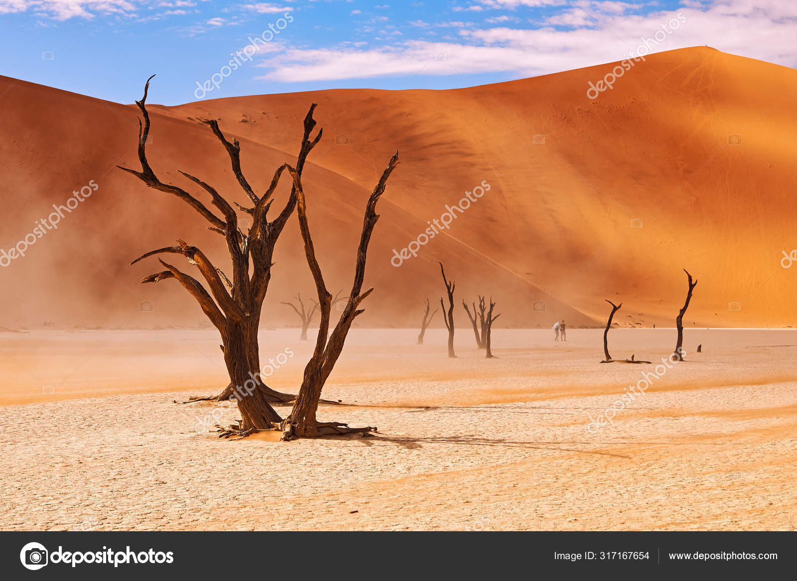 Dead trees at deadvlei in Namibia. Stock Photo by ©LuaAr 317167654