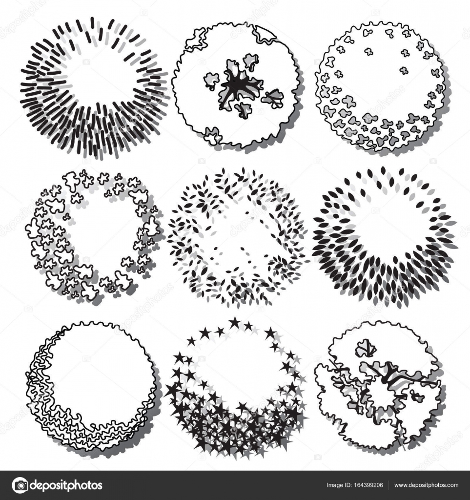 Tree top vector — Stock Vector © 10comeback #164399206