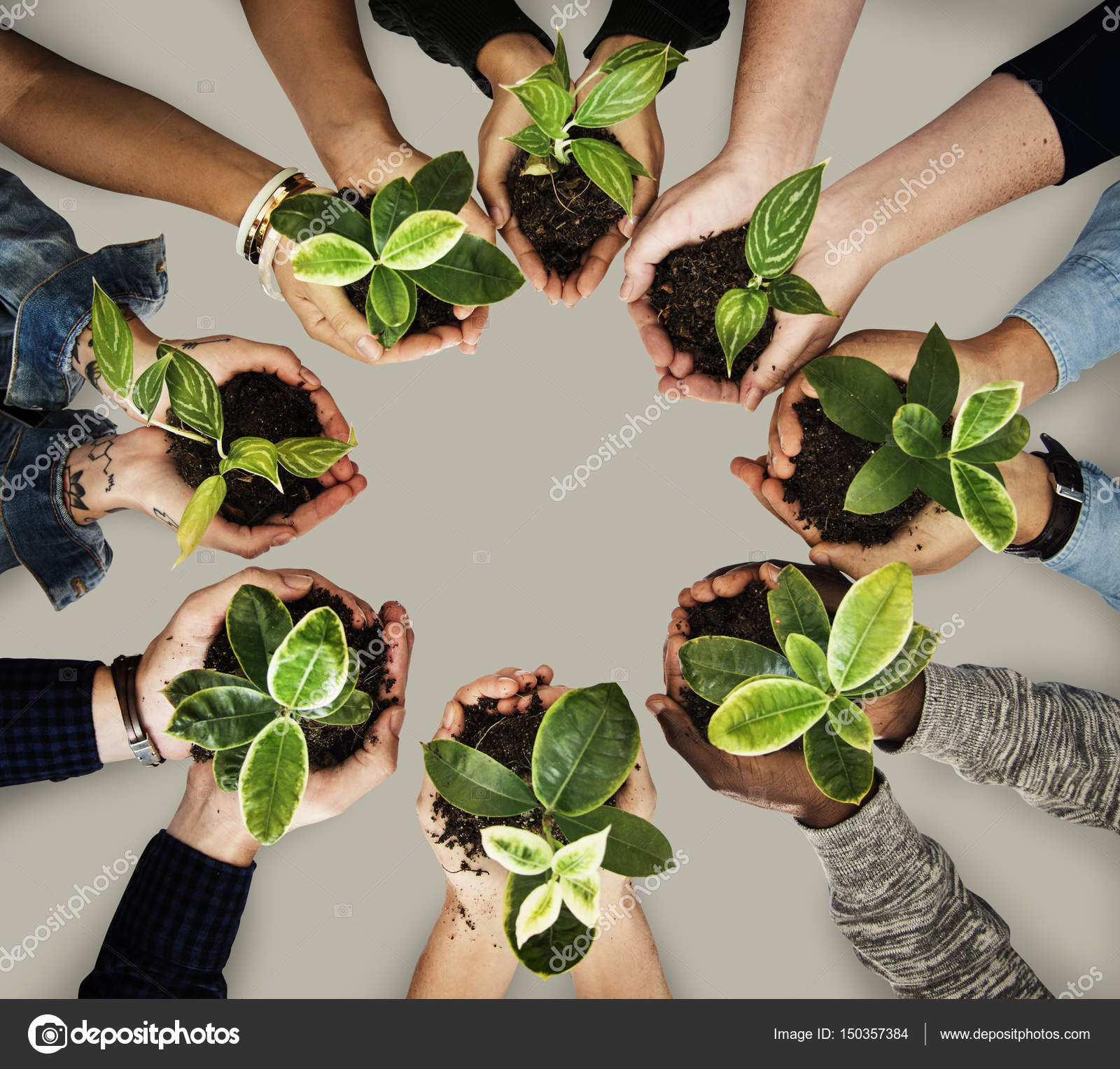 Group of hands holding plants — Stock Photo © Rawpixel #150357384