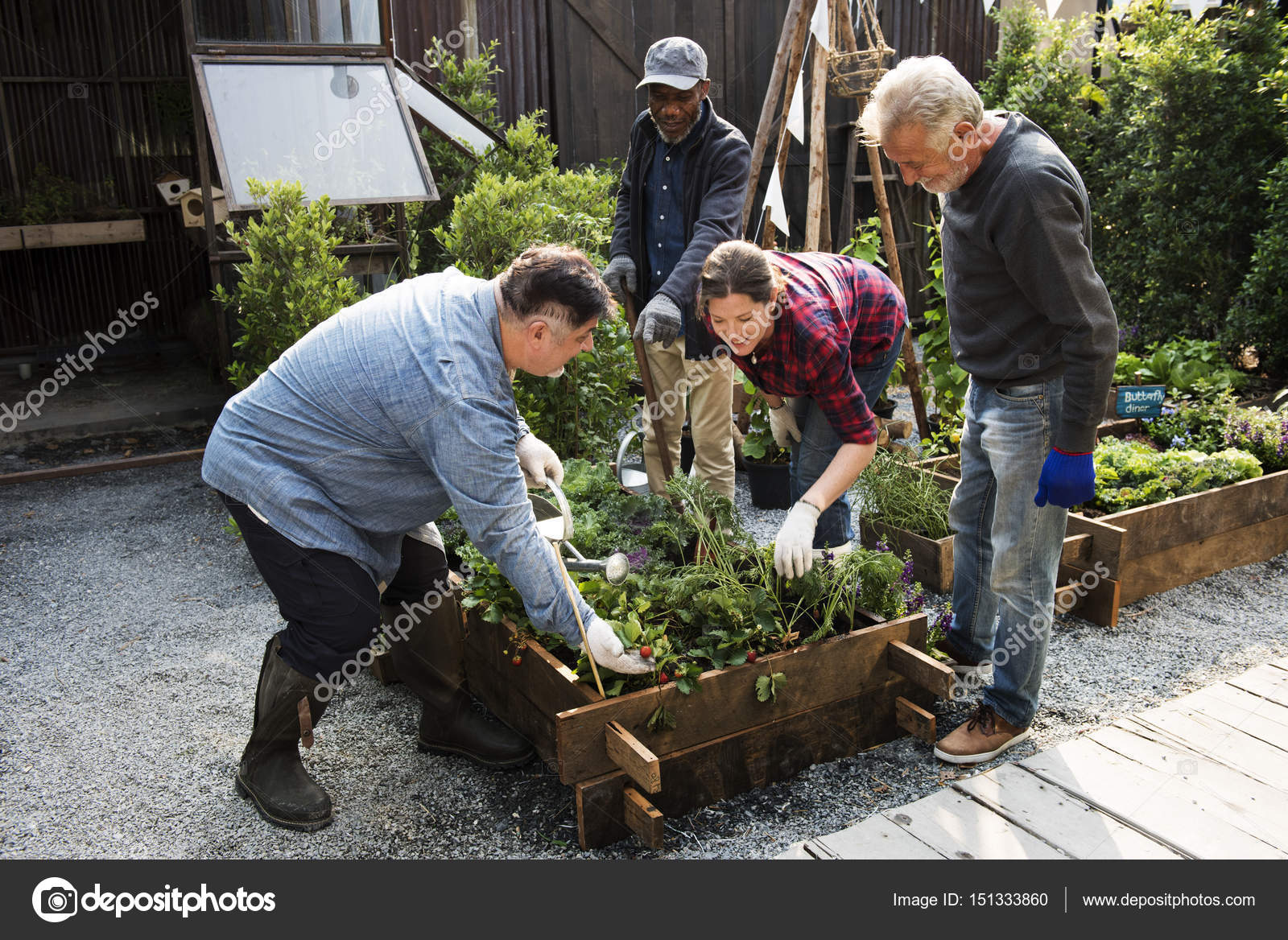 People planting vegetables — Stock Photo © Rawpixel #151333860