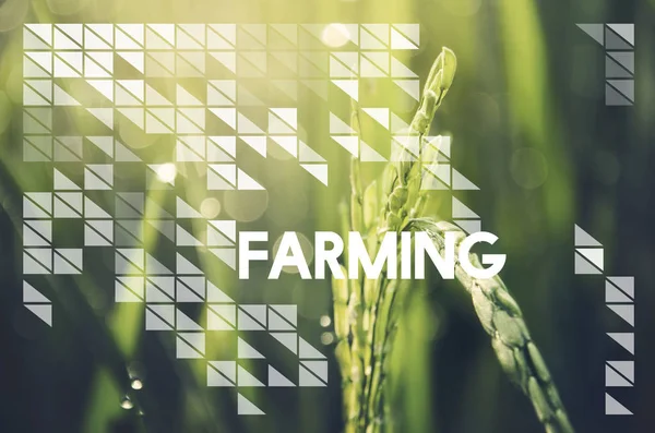 Rolnik logo Stock Photos, Royalty Free Rolnik logo Images | Depositphotos