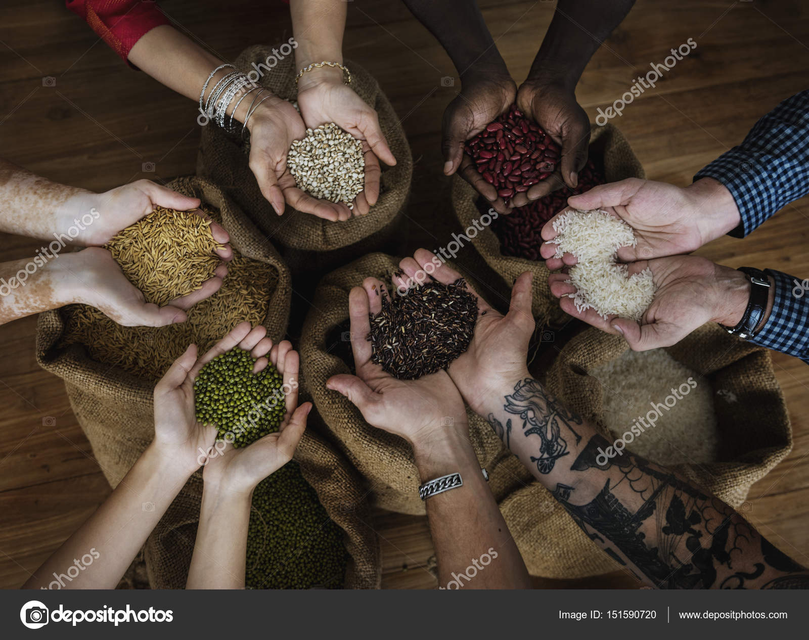 Hands holding seeds and grains Stock Photo by ©Rawpixel 151590720