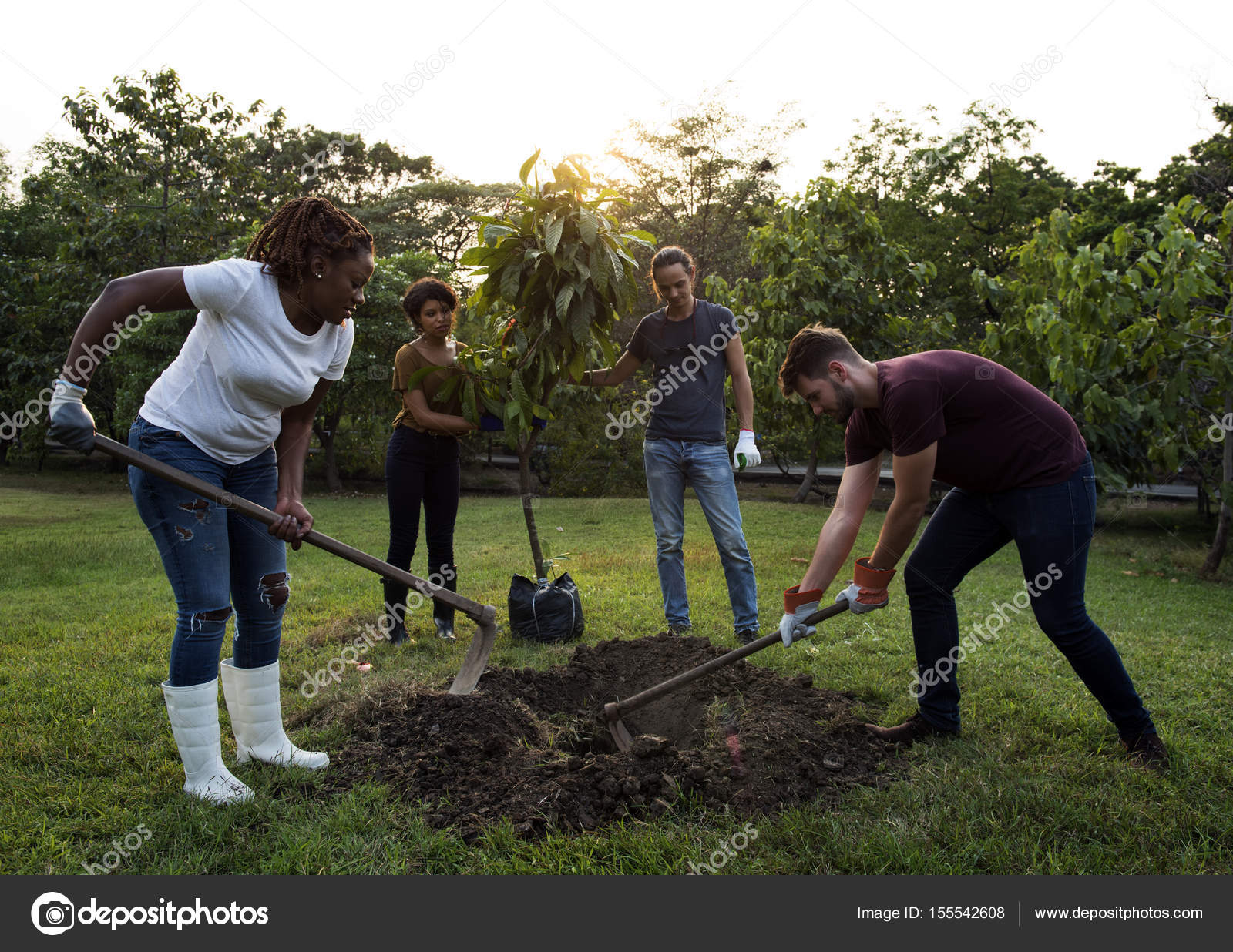 People Digging Hole Planting Tree — Stock Photo © Rawpixel #155542608