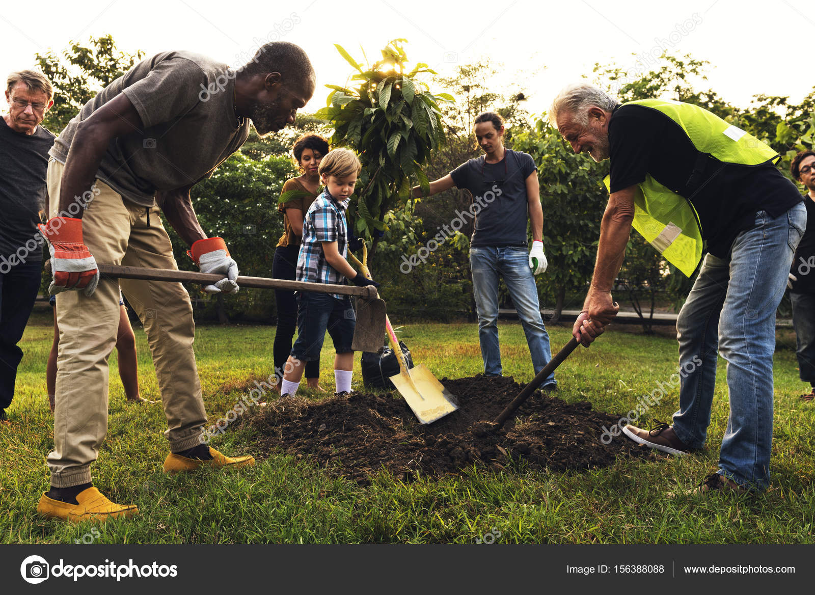 People Digging Hole Planting Tree Stock Photo by ©Rawpixel 156388088