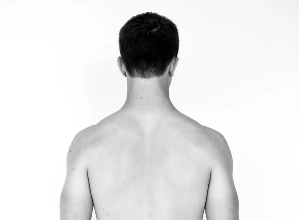 Male Model Back View