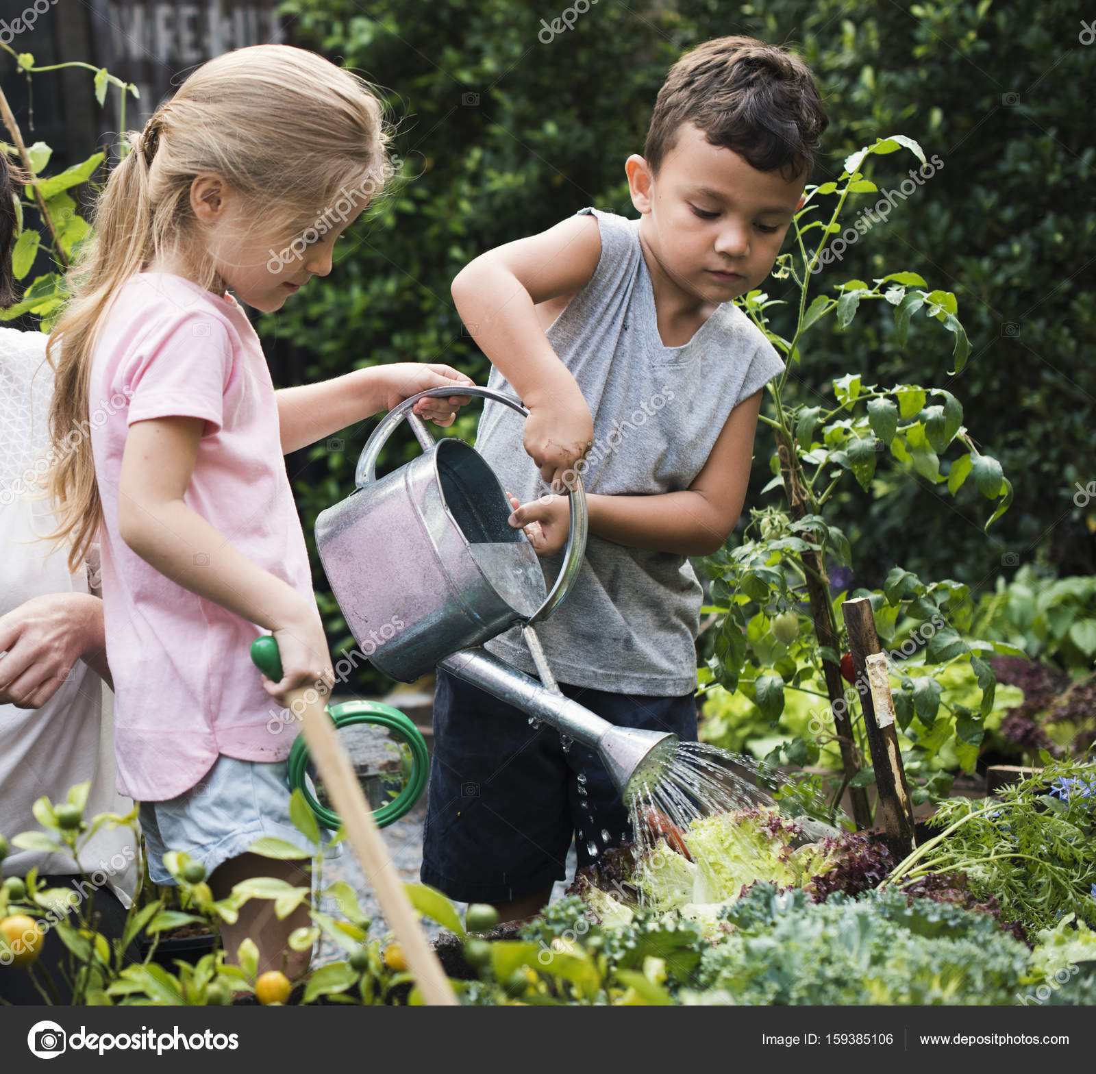 Children watering the plants Stock Photo by ©Rawpixel 159385106