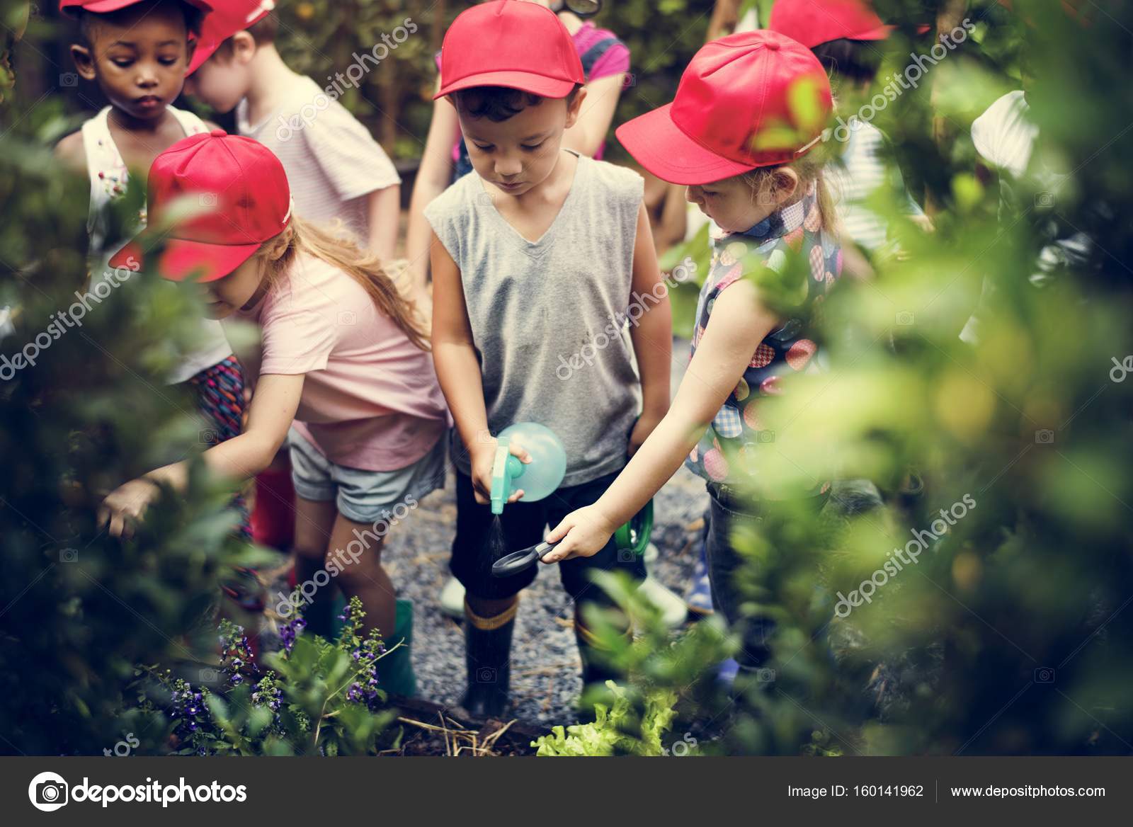 Kids Learning Environment at Farm Stock Photo by ©Rawpixel 160141962