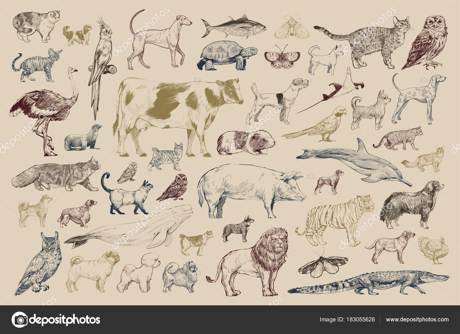 Illustration Drawing Style Animals Collection Stock Photo by ©Rawpixel ...