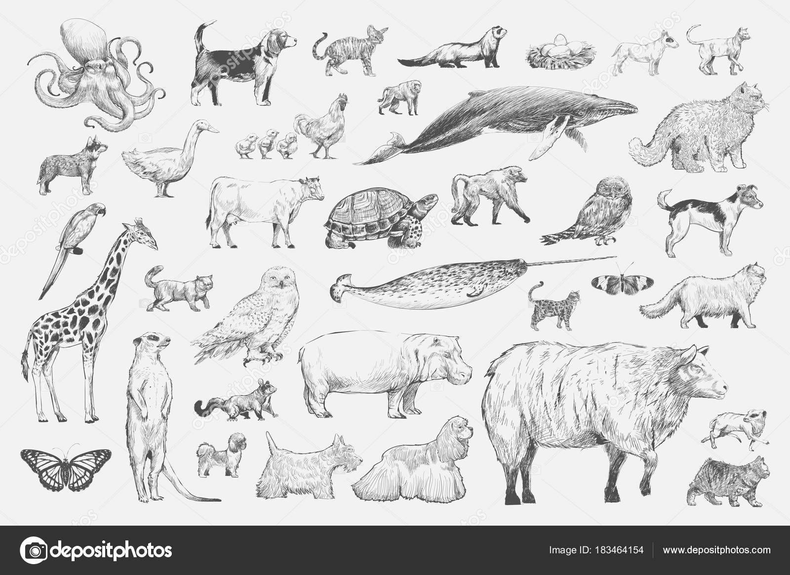 Dyr Teksturer Tegning