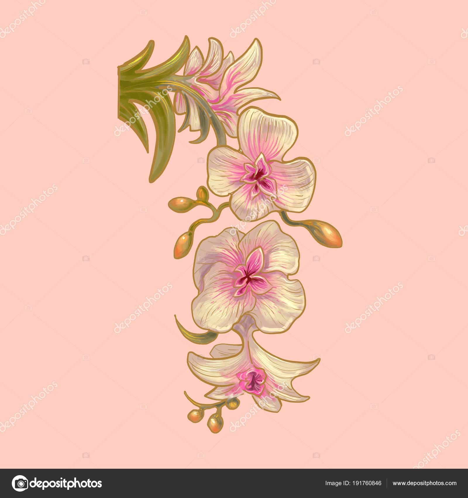 Hand Drawn Flowers Pink Background Stock Photo by ©Rawpixel 191760846