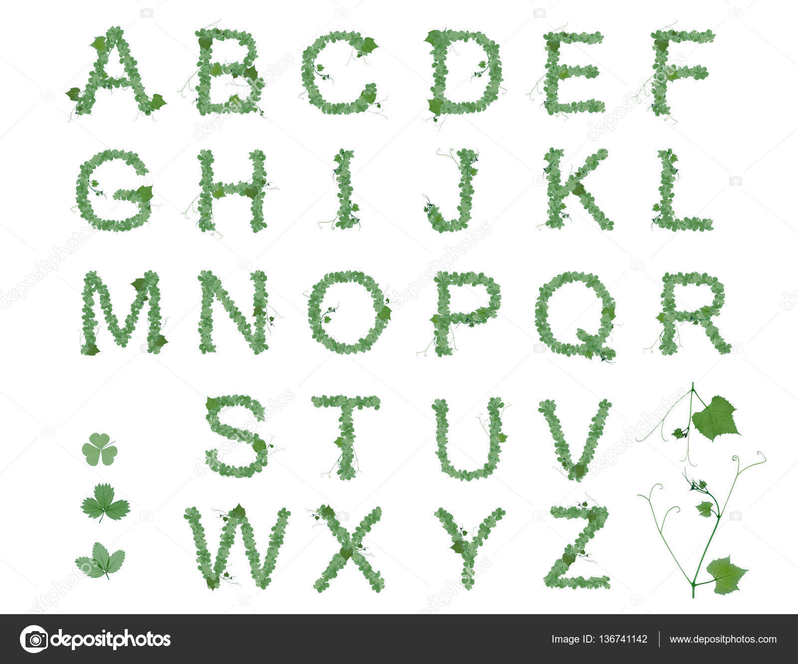 Alphabet letters ABC from the leaves in Patricks day or spring and ...