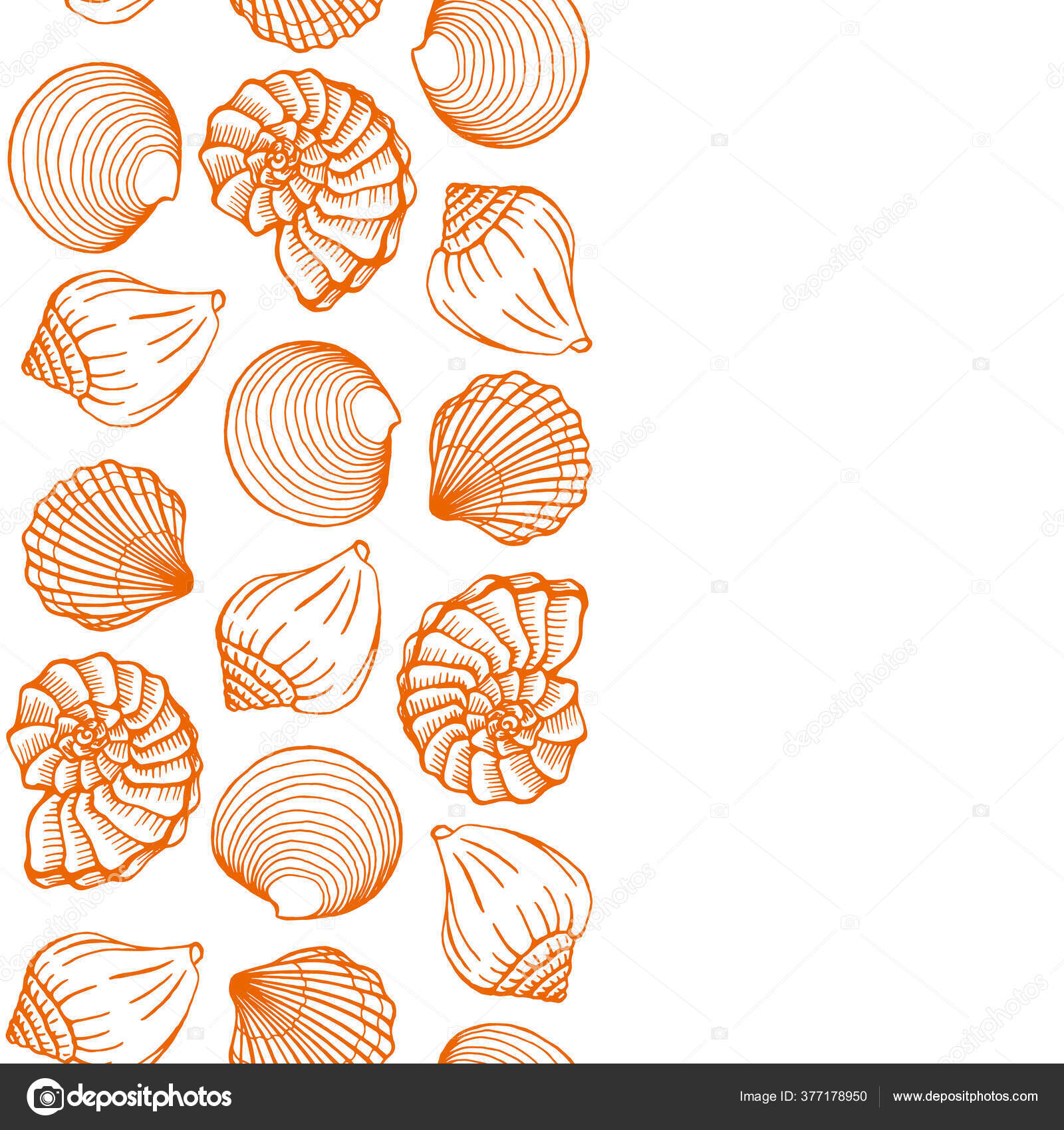 Marcos De Fotos Con Conchas Marinas #parati #diy #sea #seashell #girls