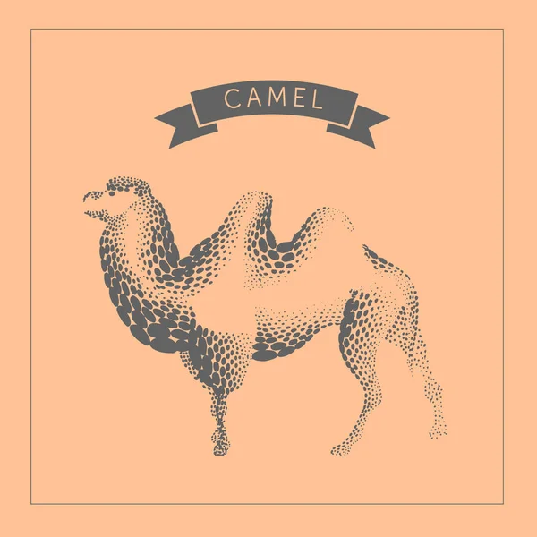 Teve rajz Imágenes Vectoriales, Gráfico Vectorial de Teve rajz ...