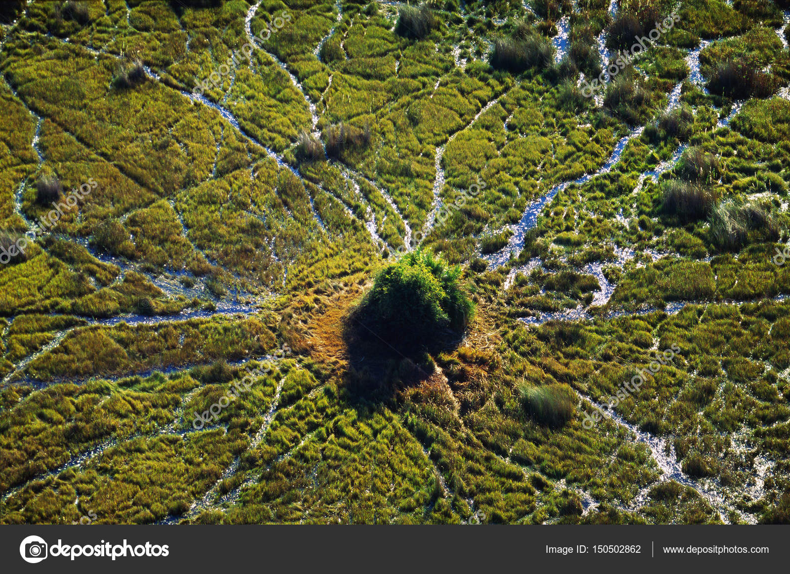 Okavango river, aerial view — Stock Photo © Gi0572 #150502862