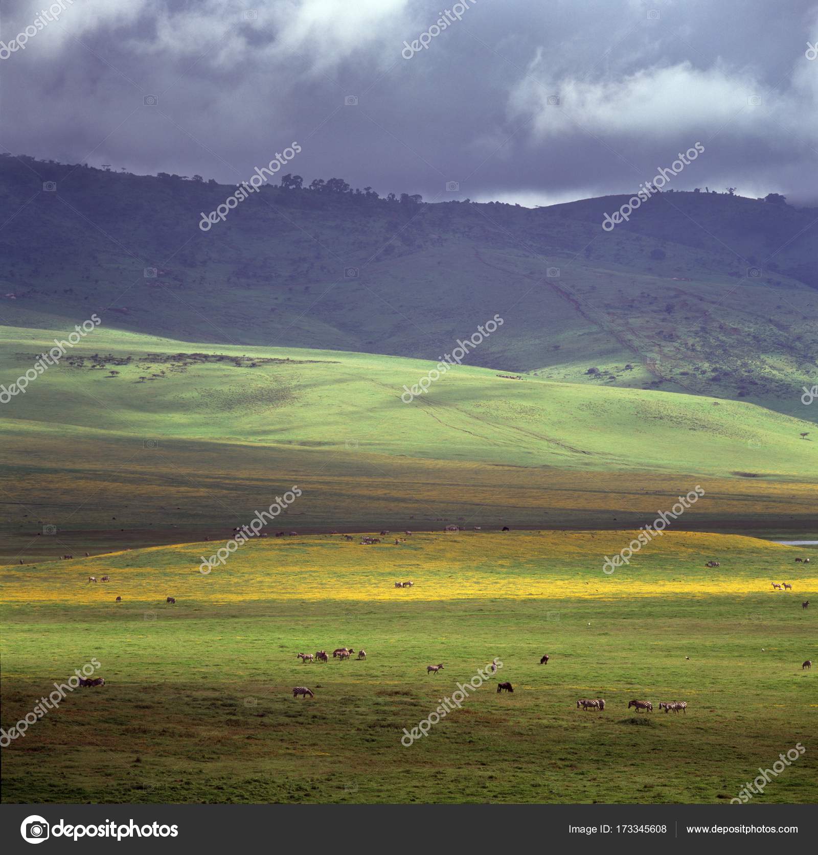 African landscape with mountains, hills and animals Stock Photo by ...