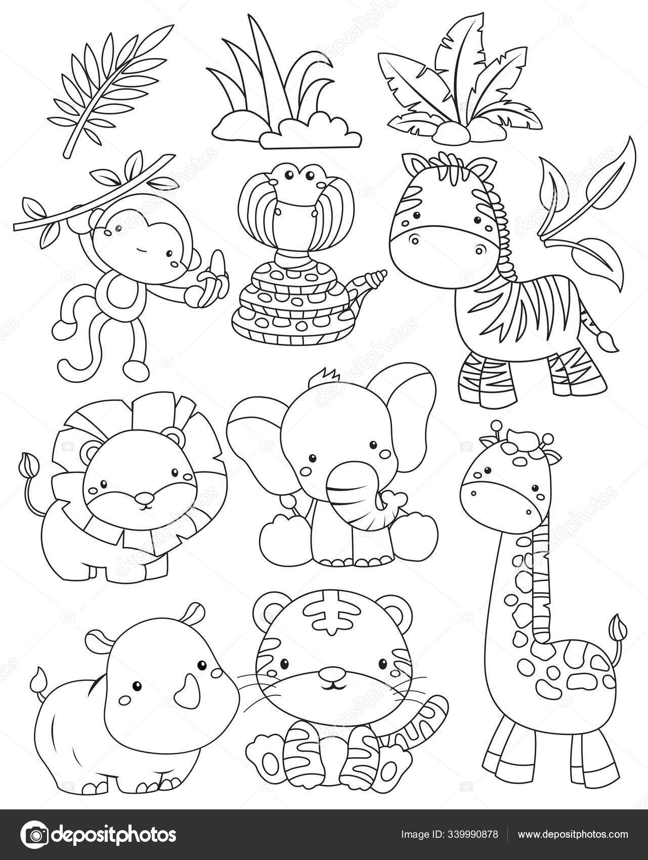 Jungle Animals Black And White