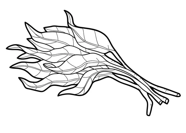 81 Kangkong Vector Images | Depositphotos