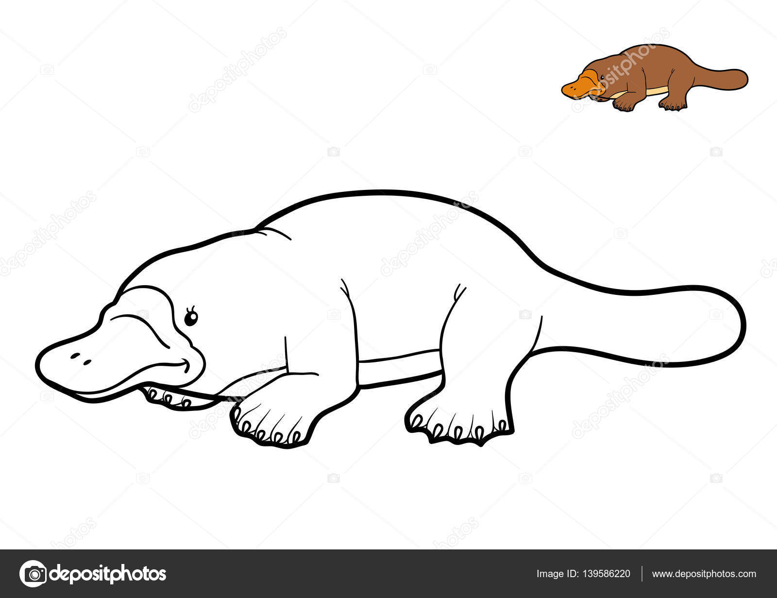 Omalovánky, ptakopysk — Stock Fotografie © ksenya_savva #139586220