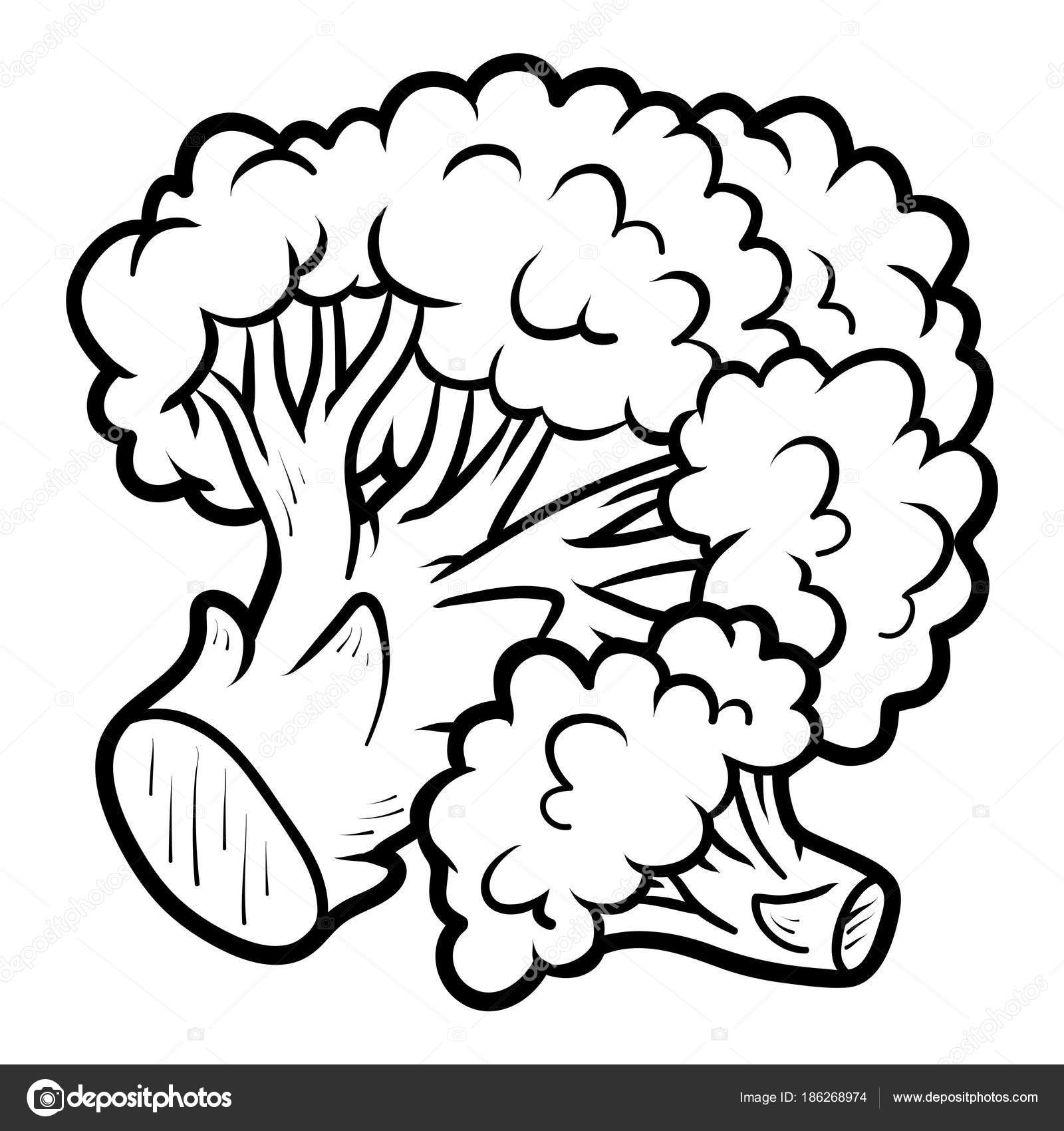 Libro para colorear, Brócoli Vector de stock #186268974 de ©ksenya_savva