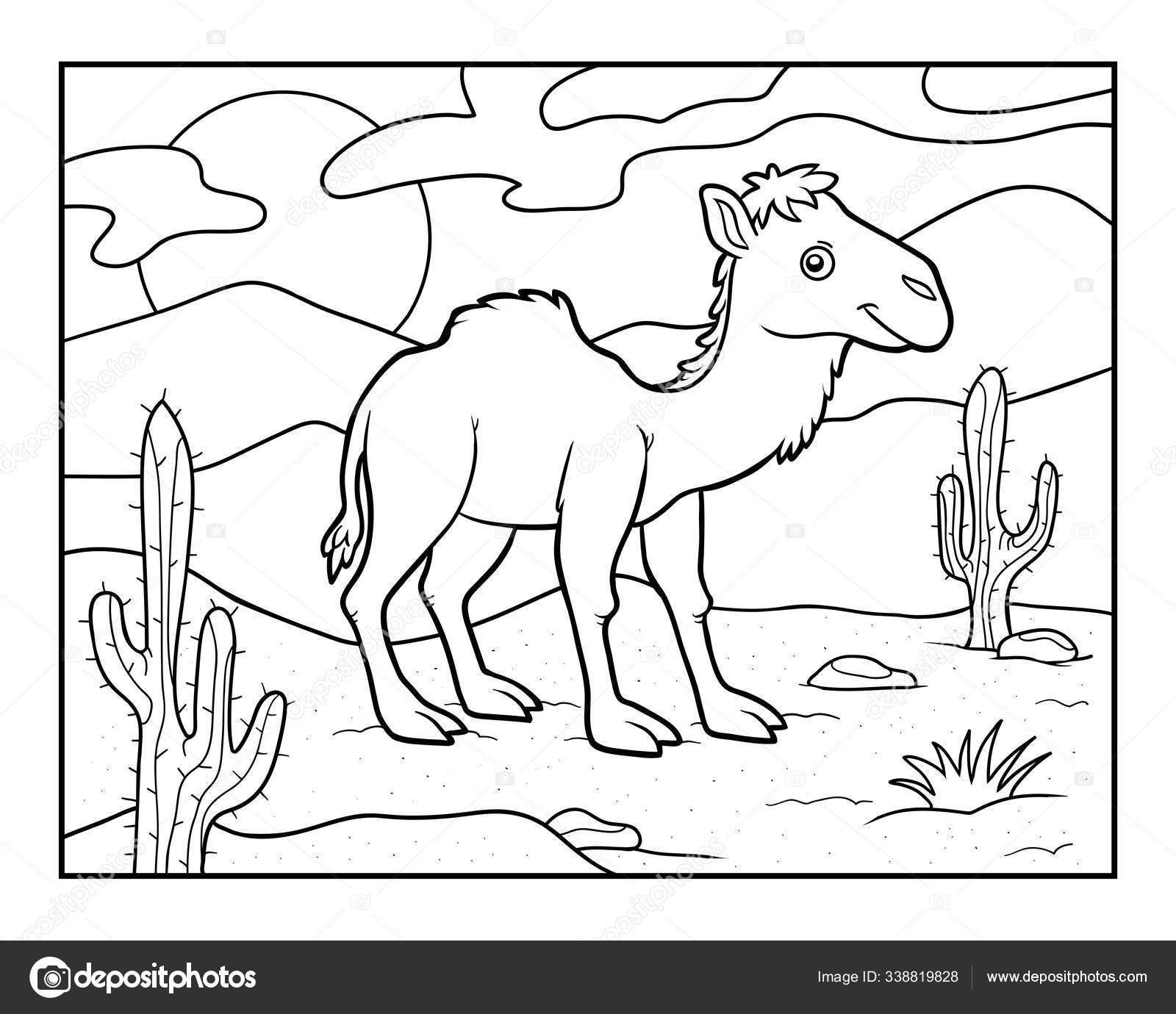 Dibujos Para Colorear Del Desierto Cómo Dibujar Un Desierto Fácil