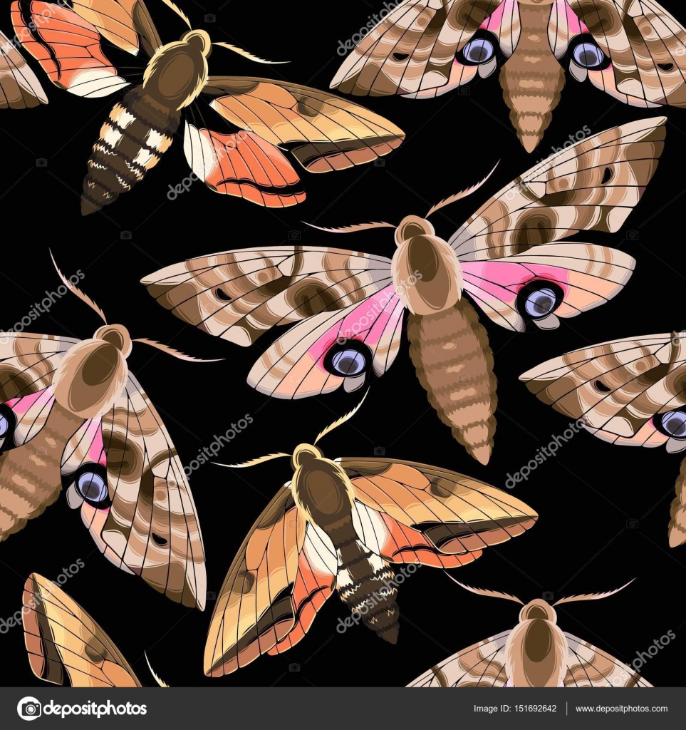Flying moths seamless Stock Vector by ©Greylilac 151692642