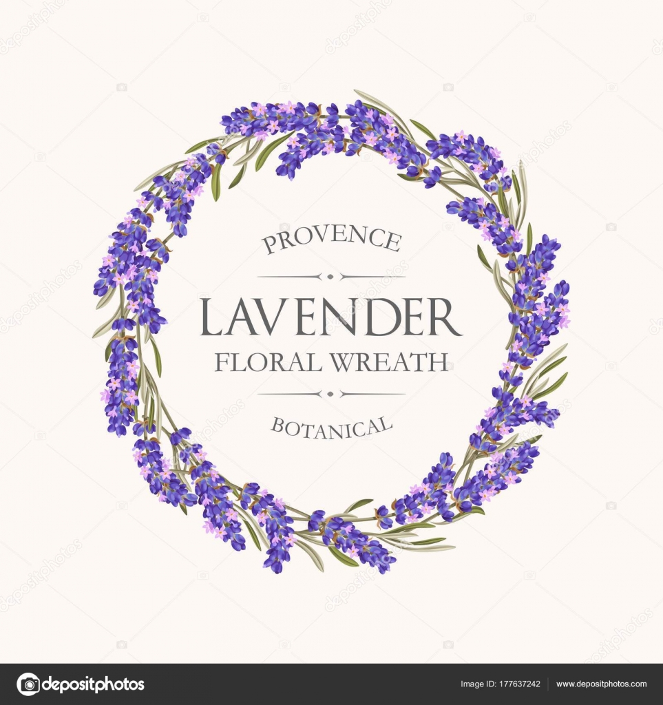 Card with lavender wreath Stock Vector Image by ©Greylilac #177637242